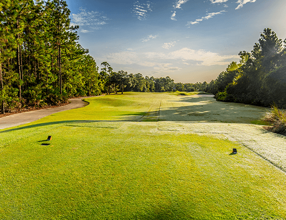 St. Augustine Golf Course & Country Club | The Palencia Club
